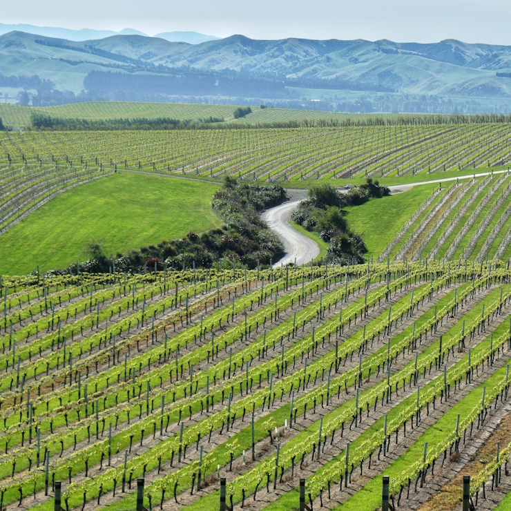About us - Lincoln Agritech